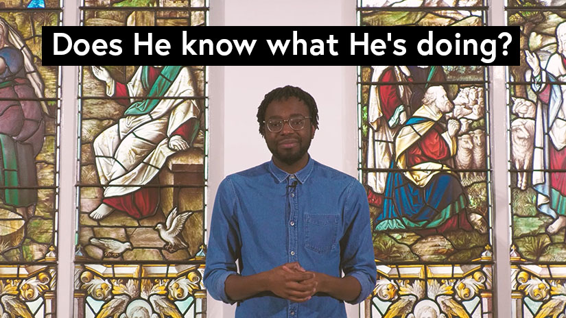 Does He know what He's doing? - Go Chatter